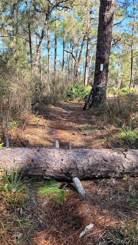 Croom 50+ Mountain Biking Route | Trailforks