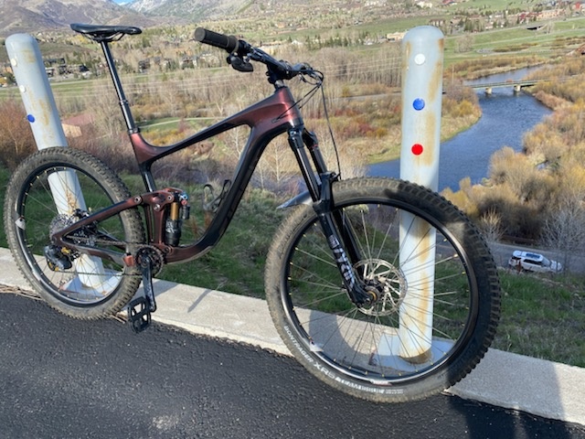 2020 Custom Giant Reign 29 For Sale
