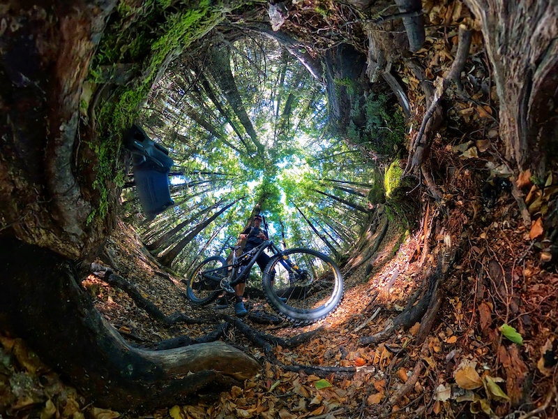 Flying Moa Mountain Biking Trail - St Arnaud