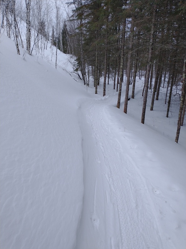 Fat Forest Fourteen 2021 7-Mile Course Mountain Biking Route | Trailforks