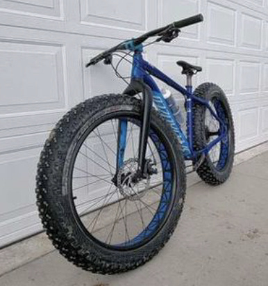 2016 Specialized Fatboy SE Medium For Sale