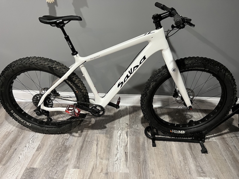 2015 Large Salsa Beargrease Carbon 1 For Sale