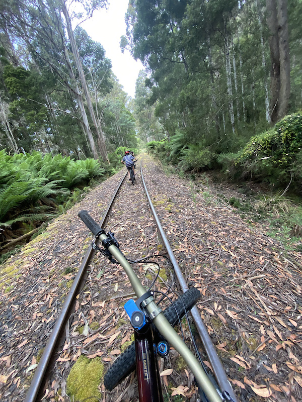 Maydena Rail Trail, Maydena to Florentine. Multi Trail - Maydena