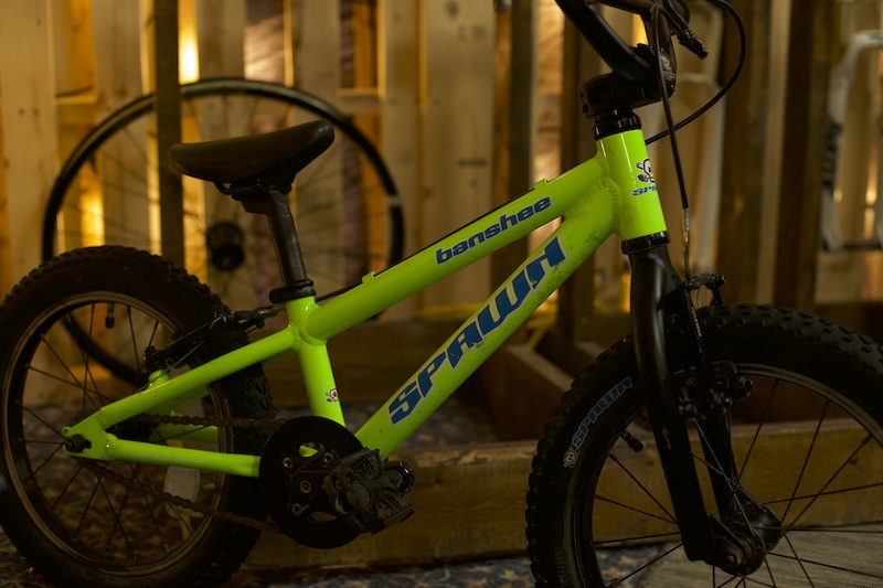 2018 Spawn Banshee 16" For Sale