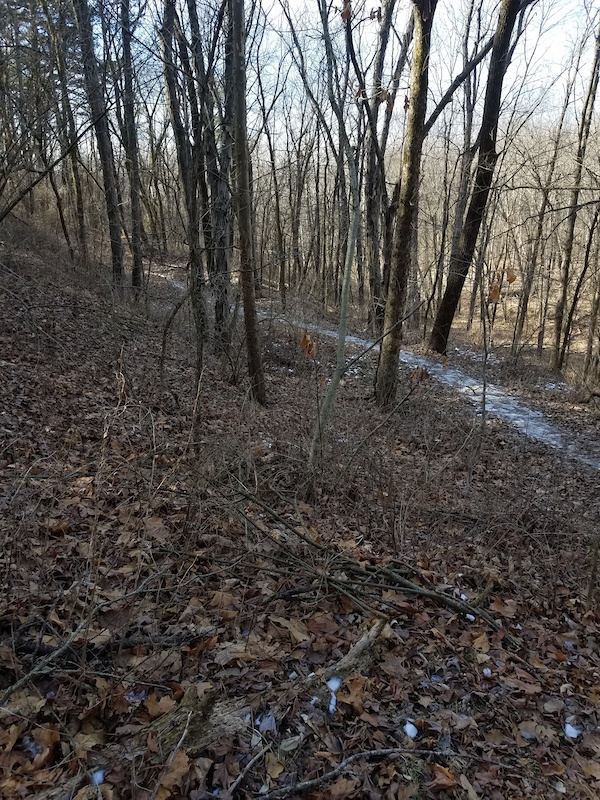 Finger Lakes State Park, Columbia Mountain Biking Trails | Trailforks