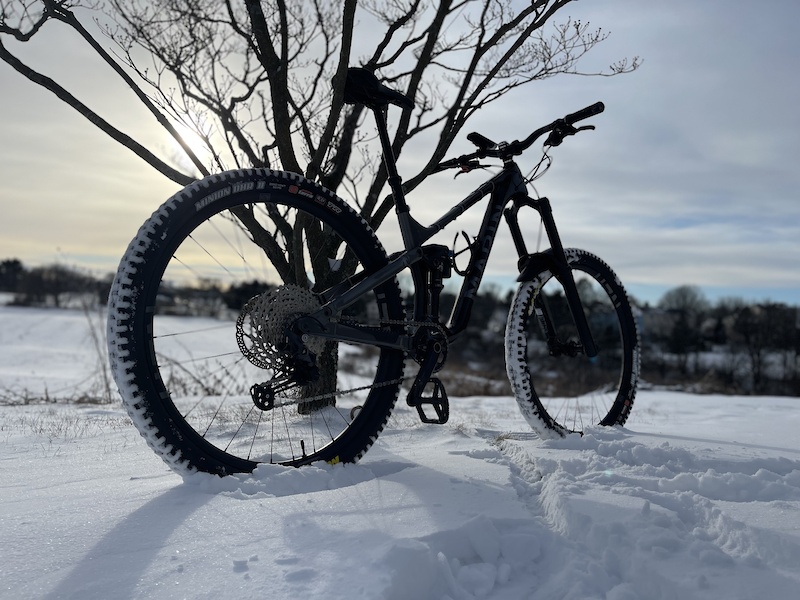 2021 Custom Marin Alpine Trail Carbon For Sale