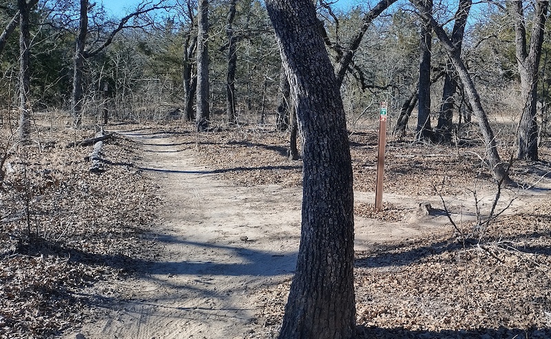 DORBA Green Loop Mountain Biking Trail - Pilot Point