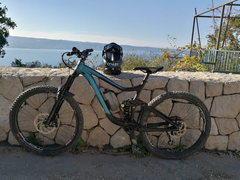 2020 Custom Giant Reign, size Large For Sale