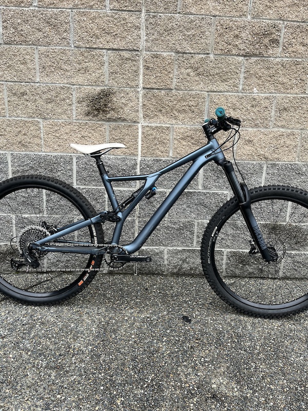 2020 Stumpjumper Evo S3 For Sale