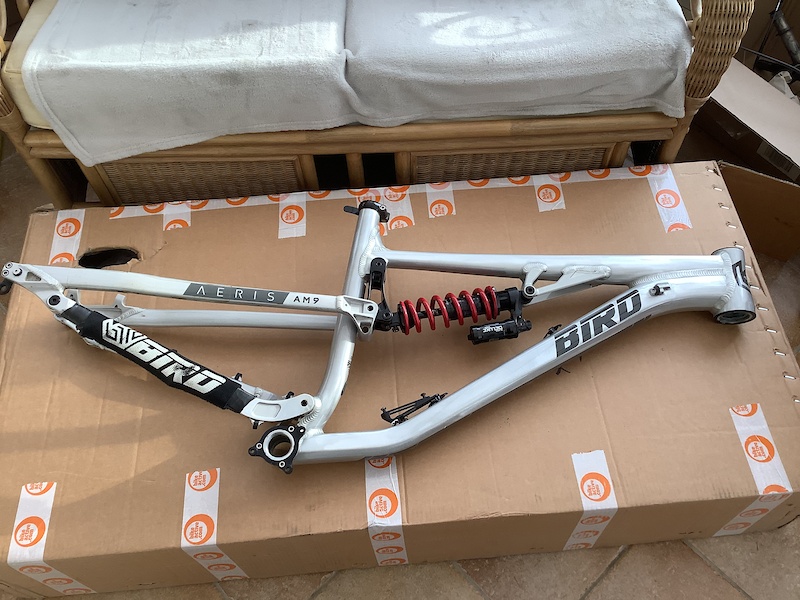 2021 Bird AM9 V3 For Sale