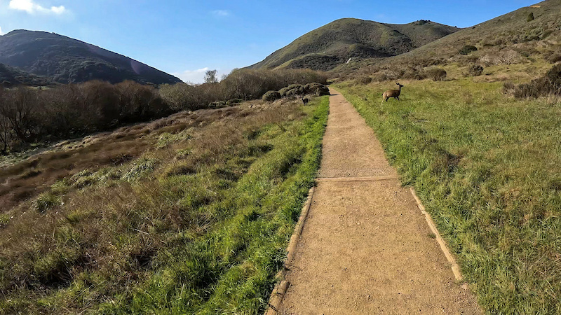 Tennessee Valley Trail Hiking Route | Trailforks