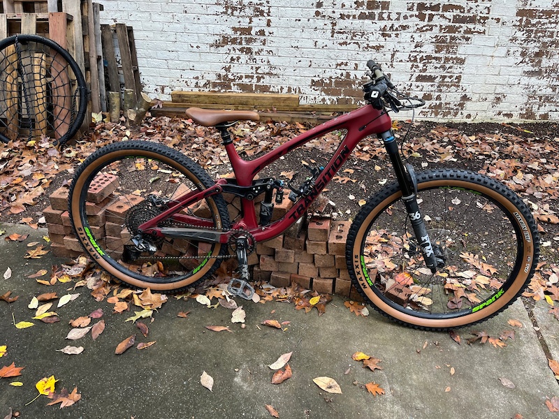 2019 Large V1 Transition Sentinel Carbon For Sale