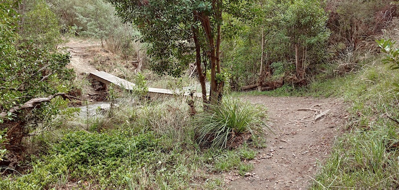 The Long & Winding Trail Mountain Biking Trail