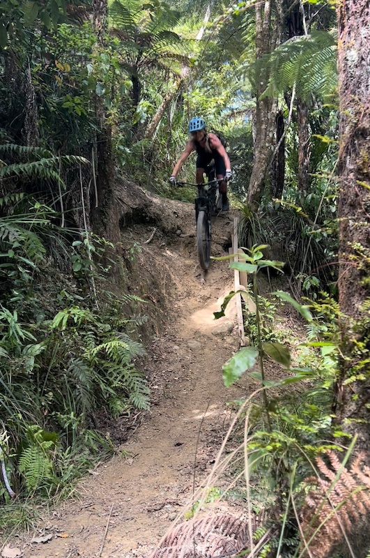Native Trail / Anzac Down Multi Trail - Riverhead