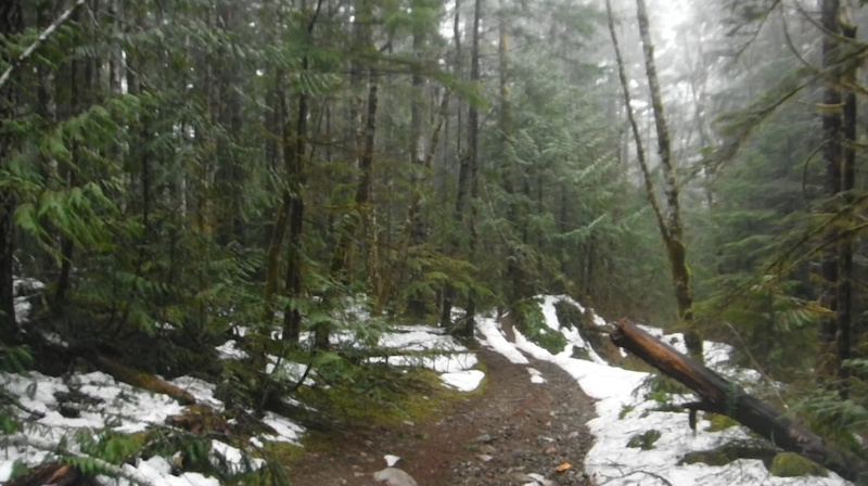 Lacy Lake Trail Mountain Biking Trail - Port Alberni
