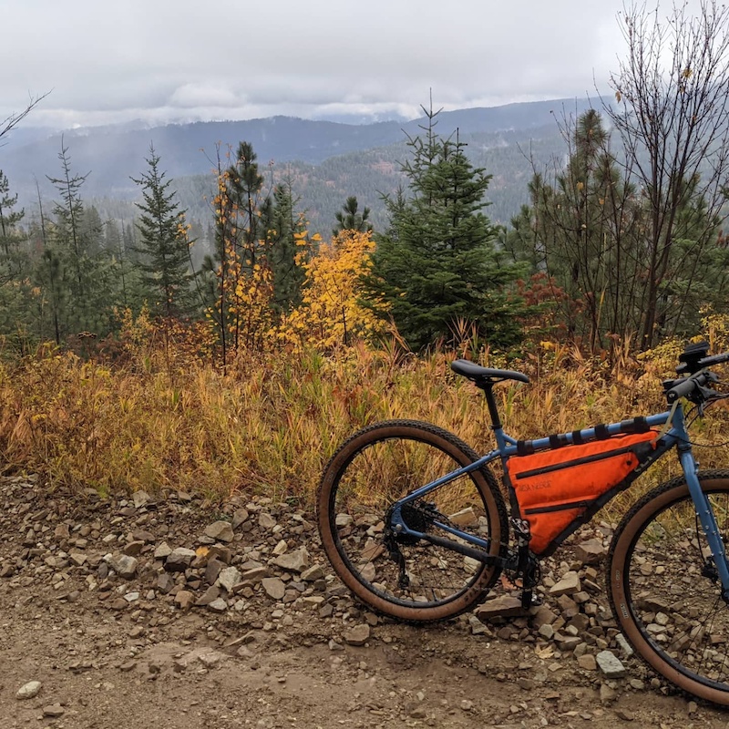 2021 Surly Ogre For Sale