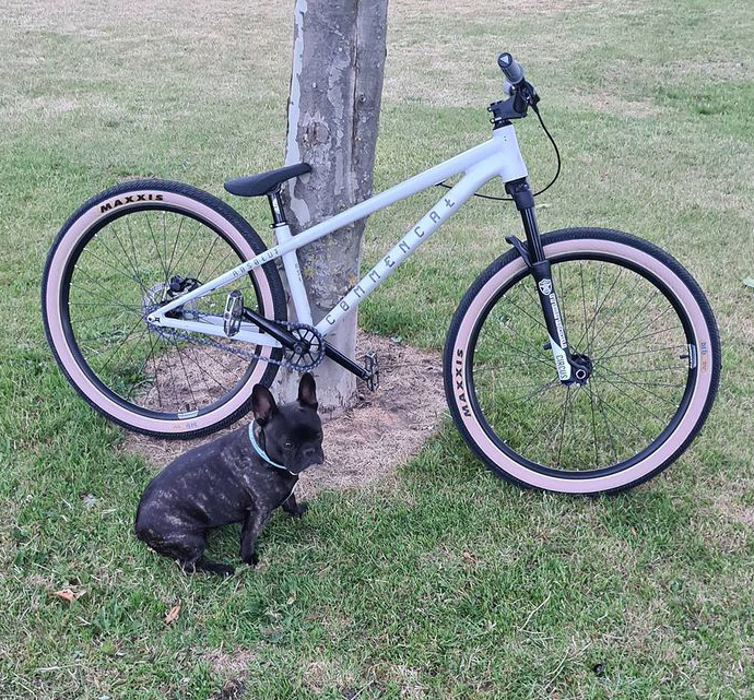 2019 Commencal absolute For Sale