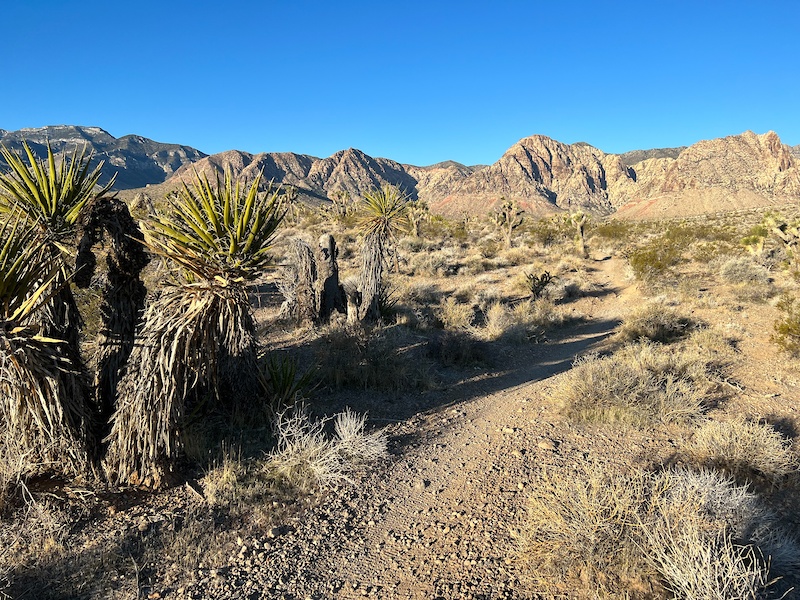 Piggy Mountain Biking Trail - Las Vegas, Nevada