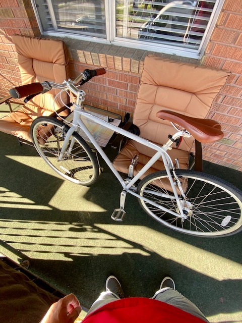 2020 Priority (Brilliant) L-Train 7-Speed For Sale