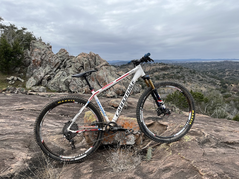 2020 Custom Cannondale Hardtail For Sale