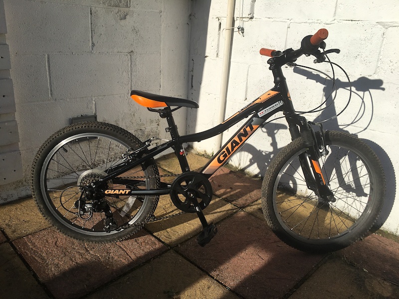 2019 Giant 19 inch wheel kids bike For Sale