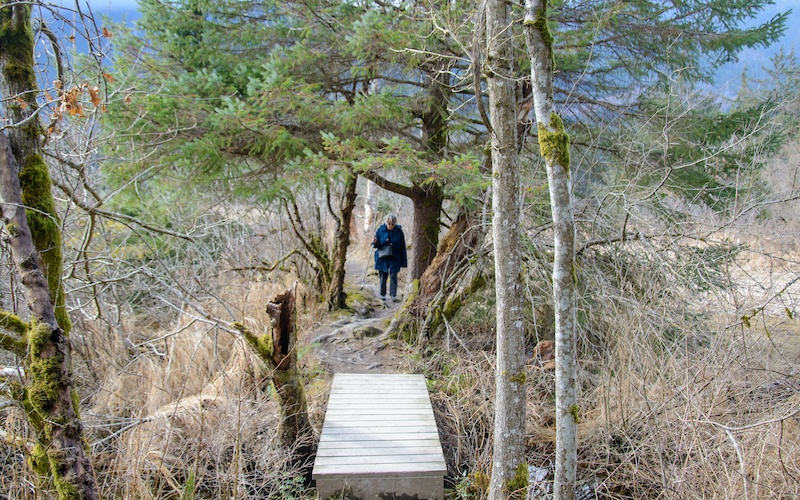 Old North Dyke Trail Hiking Trail - Squamish, BC