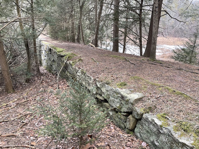 Shoddy Mill Dam Trail Multi Trail - Glastonbury, CT