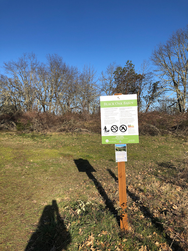 Rabbit Alley Multi Trail - Eugene, Oregon | Trailforks