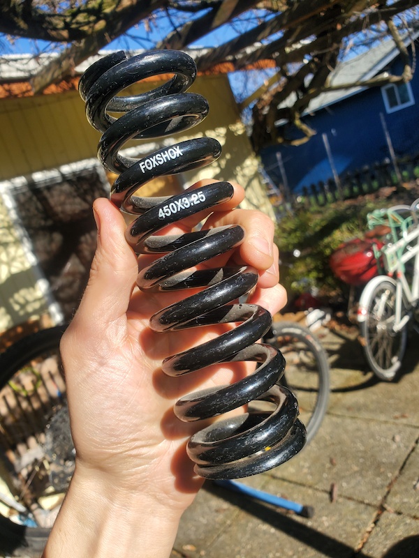 2020 Coil spring fox 450 For Sale