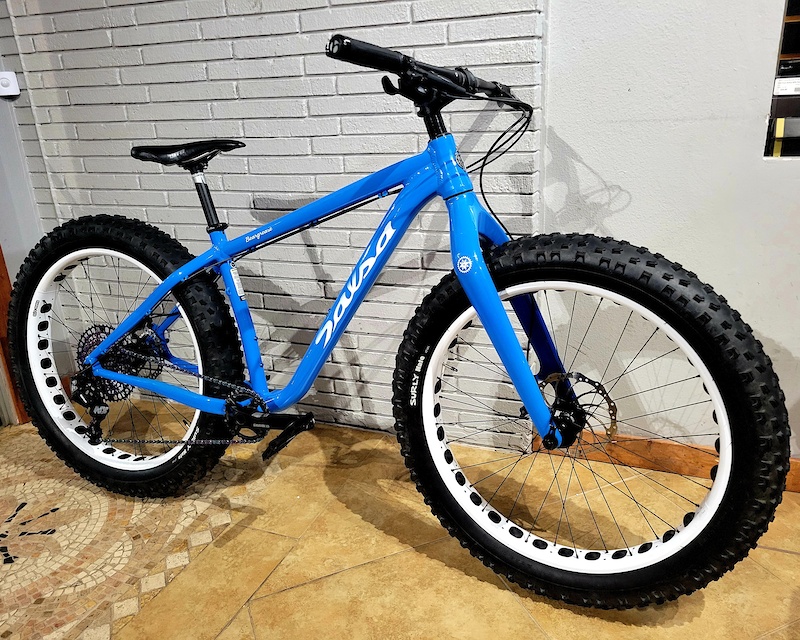 2015 Salsa Beargrease (17" medium) Custom Like New For Sale
