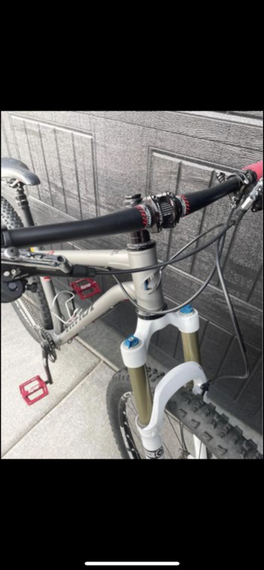 2014 Niner ROS 9 Single Speed For Sale