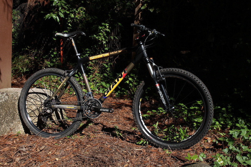 2002 Giant MCM Team For Sale