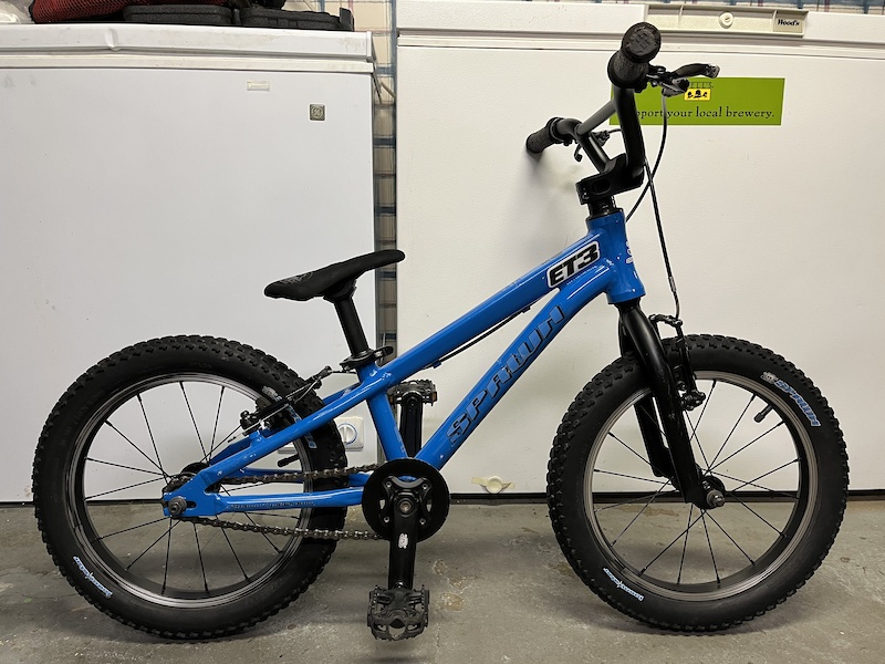 2019 Spawn Yogi 16” For Sale