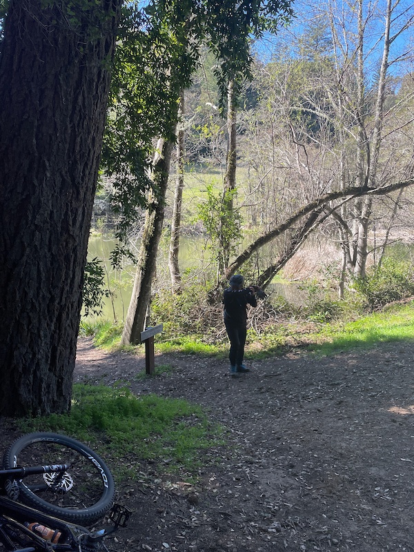 Castle Rock State Park Mountain Biking Trails | Trailforks
