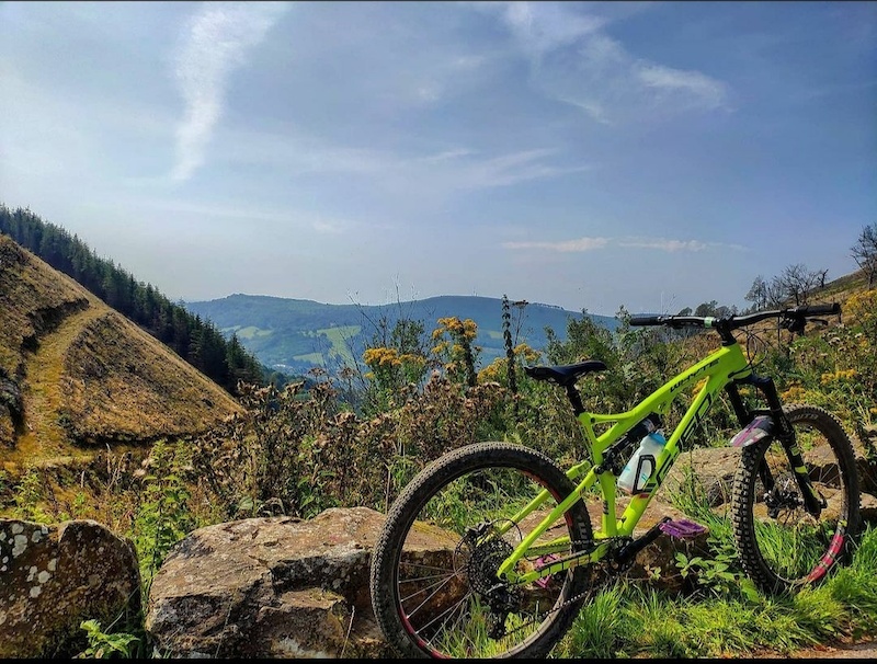 2016 Whyte g160 For Sale
