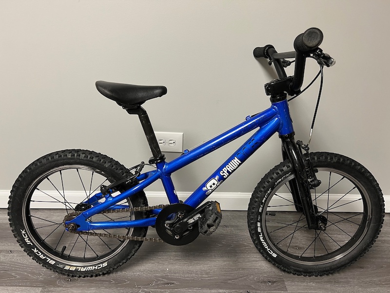 2016 Spawn Banshee For Sale