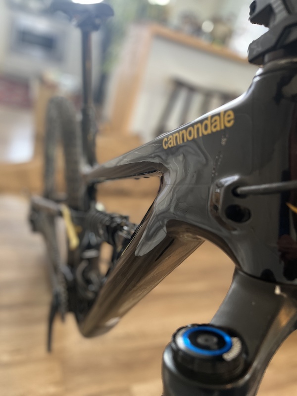 2020 Medium custom Carbon Cannondale Habit For Sale