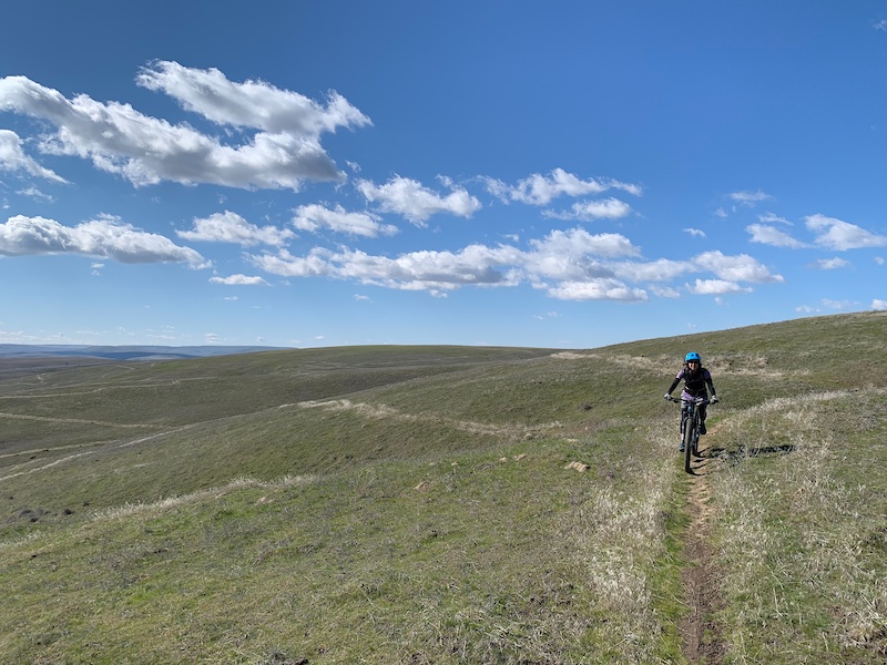 James's Trail Multi Trail - Pendleton, Oregon