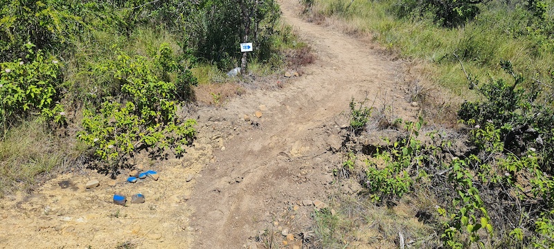 flora lite Trail Running Route | Trailforks