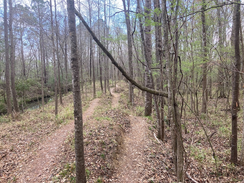 Wannamaker County Park, Goose Creek Mountain Biking Trails | Trailforks