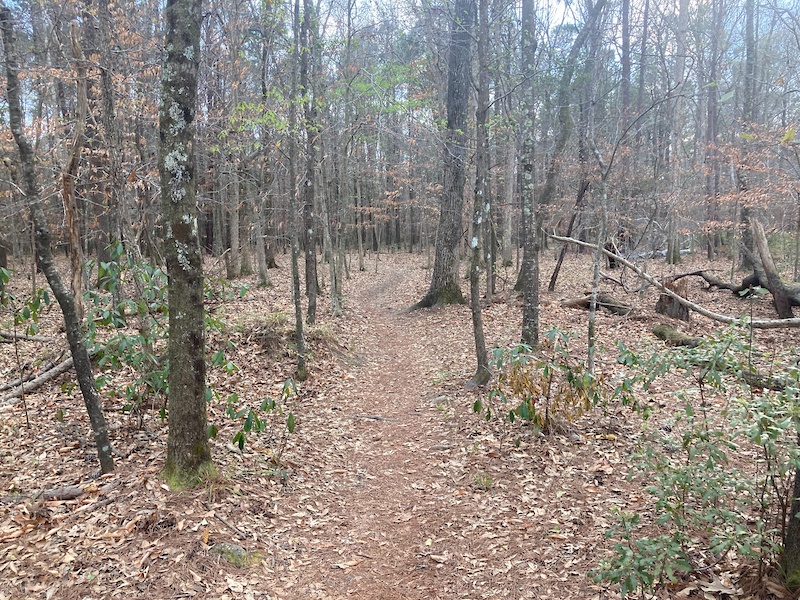Wannamaker County Park, Goose Creek Mountain Biking Trails | Trailforks