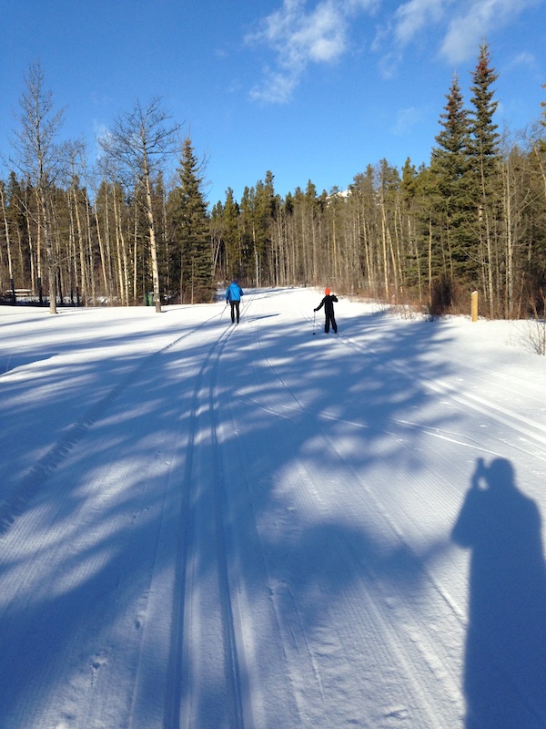 Campground Outside Loop Skiing Trail - Grande Cache