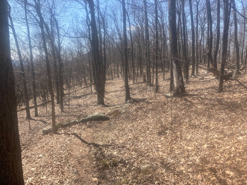 Meneka Peak Mountain Biking Trail - Strasburg, Virginia