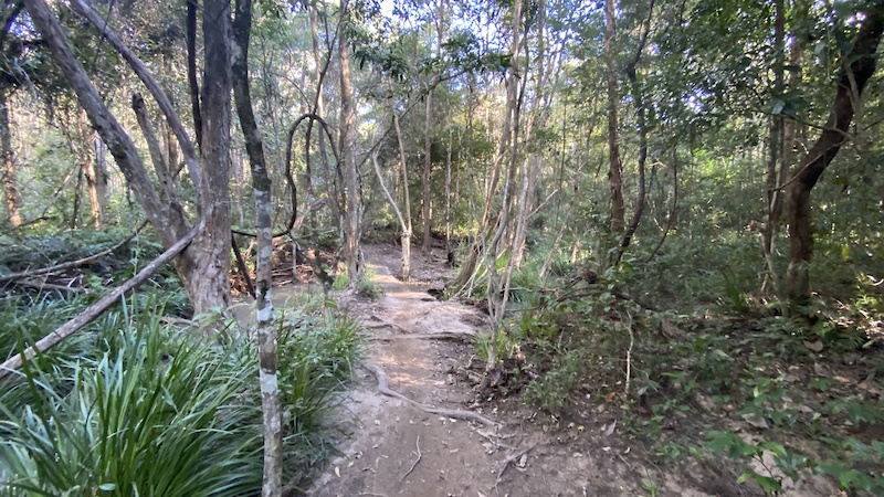 Nerang - Lee 18k Blast Mountain Biking Route | Trailforks
