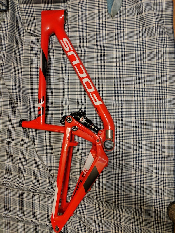 2018 Focus o1e Large frame Excellent For Sale