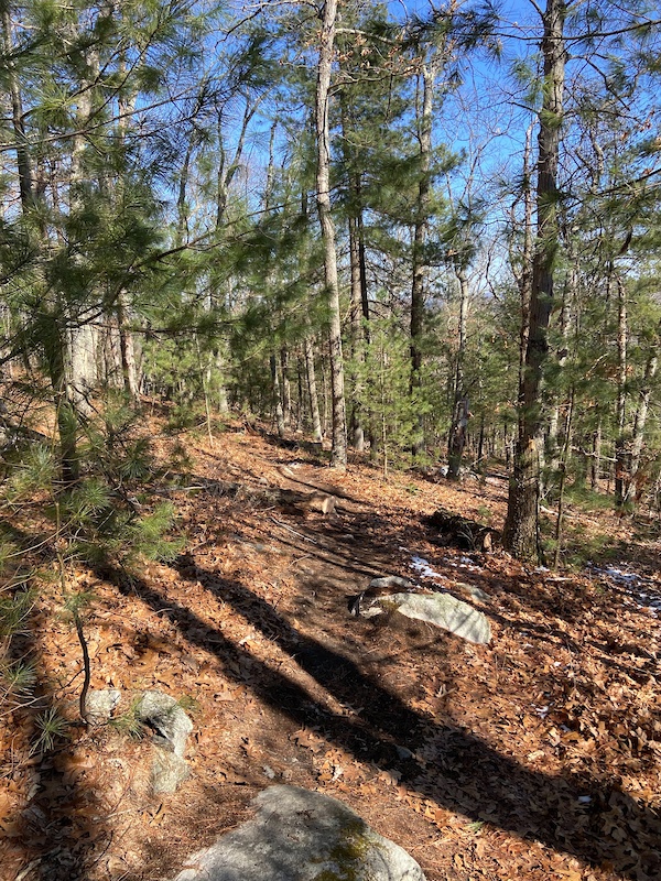 Tour De Nobscot Mountain Biking Route | Trailforks