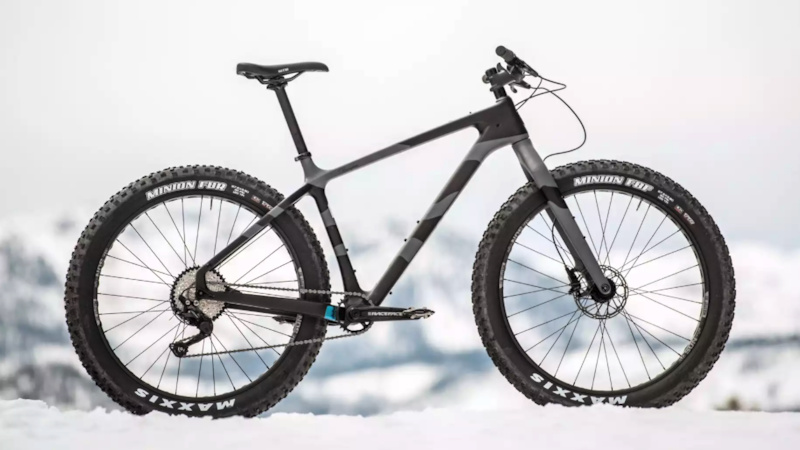 2020 Salsa Beargrease Carbon For Sale
