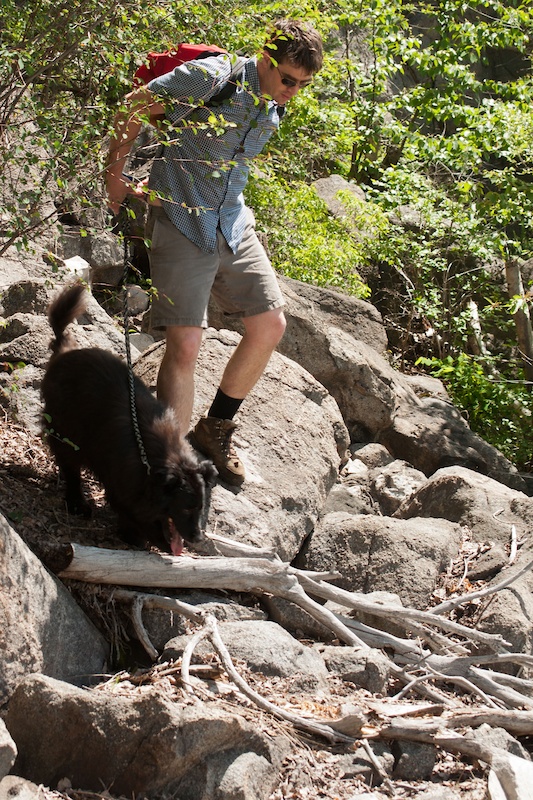 Mount Sentinel Hiking Trail - Castlegar, British Columbia