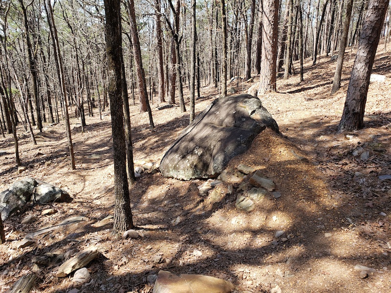 Turkey Tracks Mountain Biking Trail - Little Rock, AR