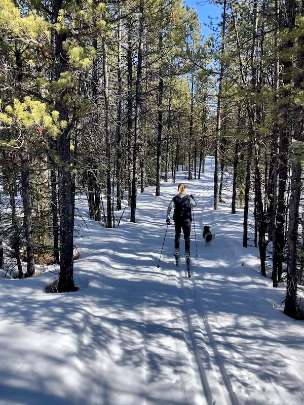 Bus Stop Loop Multi Trail - Camp 29, Hinton, Alberta